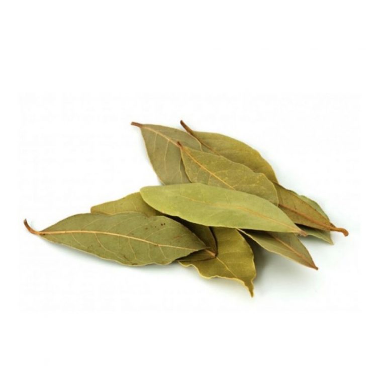 Harish Biryani Leaf – Harish Food Zone